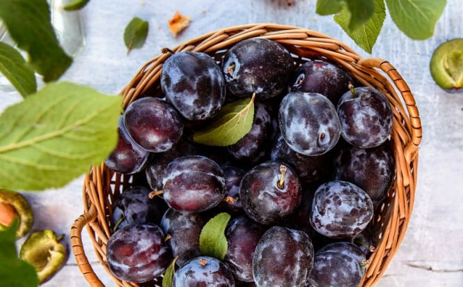 SPAR Zwetschke | SPAR Österreich